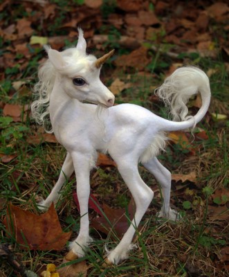 Unicorns : Archie McPhee Seattle Store | Toys, Gifts and the Rubber ...